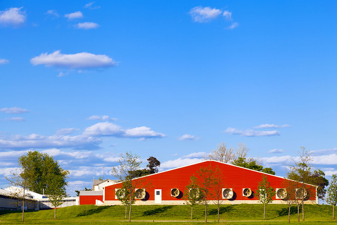 Arkansas Pole Barn Builders | Custom Post-Frame Buildings by Bradford